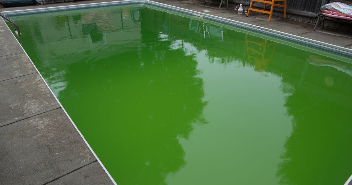 How to Clear a Green Pool for Winterization - The Ultimate Guide – PST ...