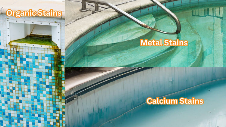 Step-by-Step Guide on How to Identify Pool Stains and Removal – PST ...