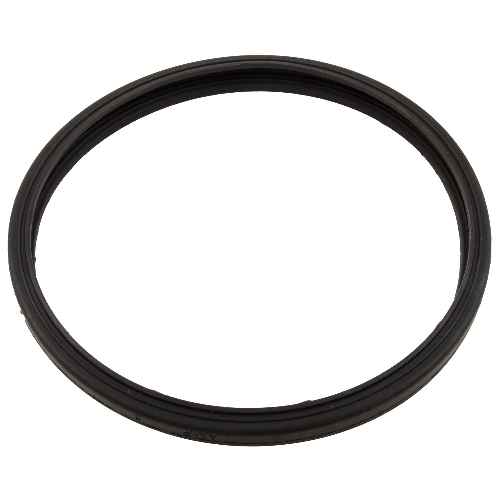 Gasket, Sta-Rite Sunbrite/Sunglow, Light Lens – PST Pool Supplies