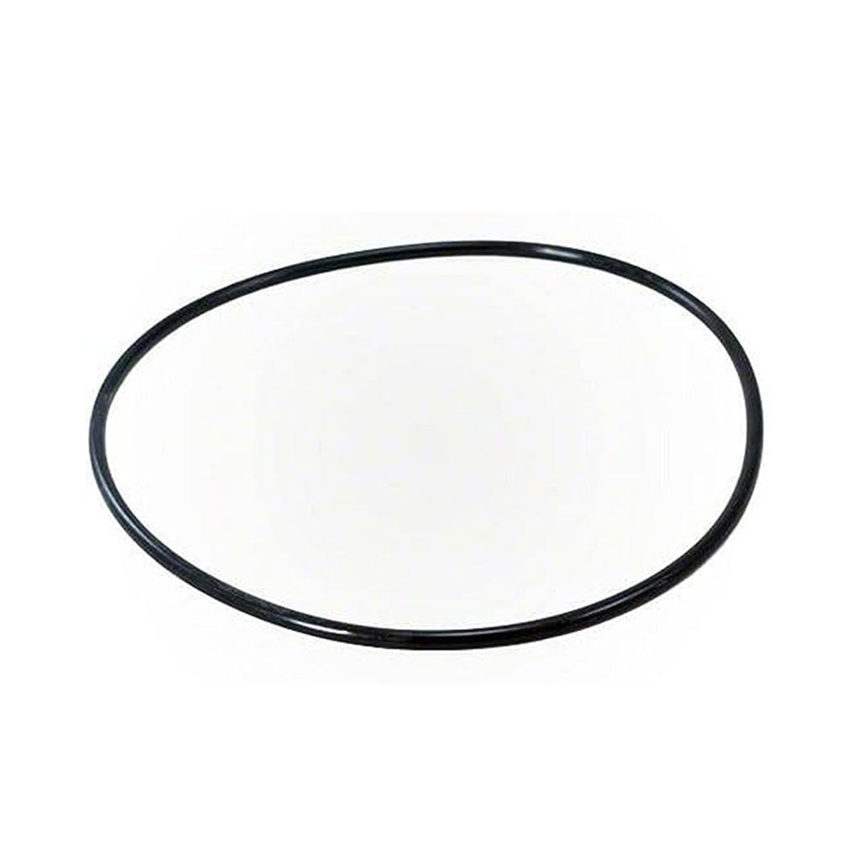 87300400Z Pentair Clean & Clear/ Posi-Clear Tank O-Ring – PST Pool Supplies