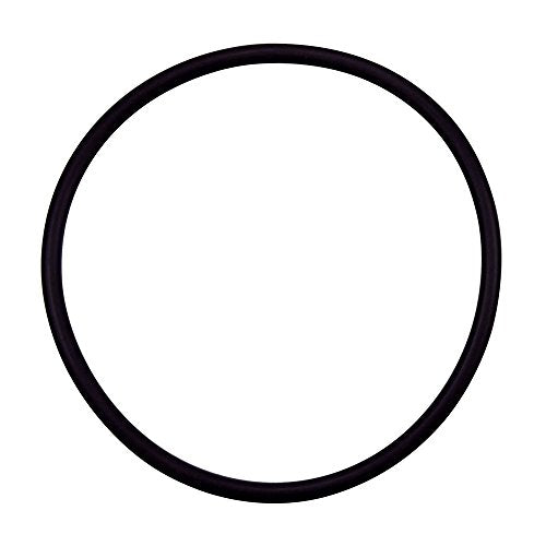 355331Z Pentair Pacfab Diffuser O-Ring – PST Pool Supplies