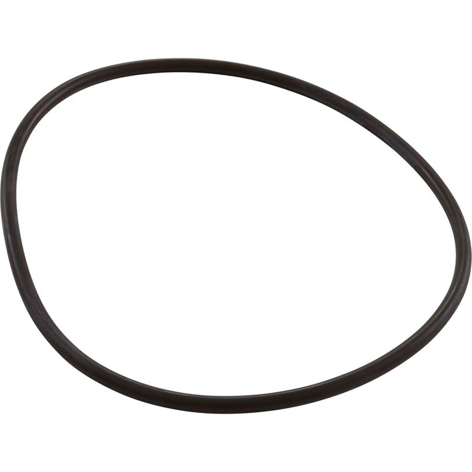 Zodiac Nature2 Professional G / M Vessel O-Ring For 2 Piece – PST Pool ...