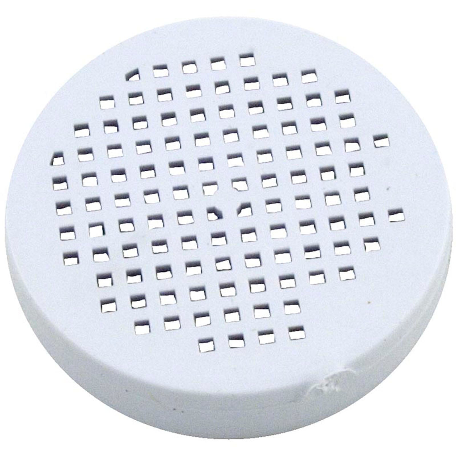 Check Valve Screen, Pentair Rainbow Bromine – PST Pool Supplies