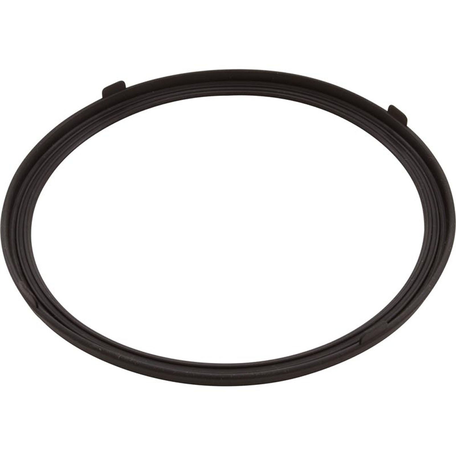 Gasket, Pentair AquaLumin III, Light Lens – PST Pool Supplies