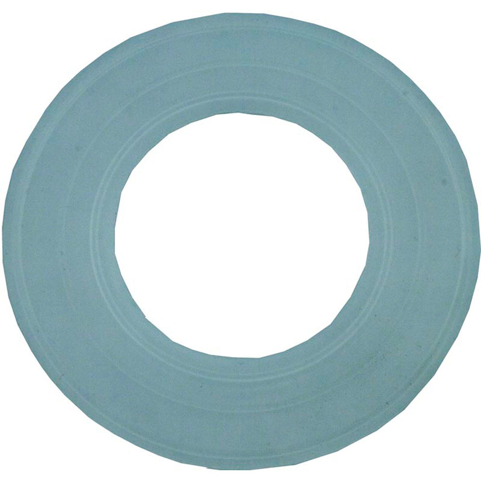 Light Gasket, Pentair, Aqualuminator – PST Pool Supplies