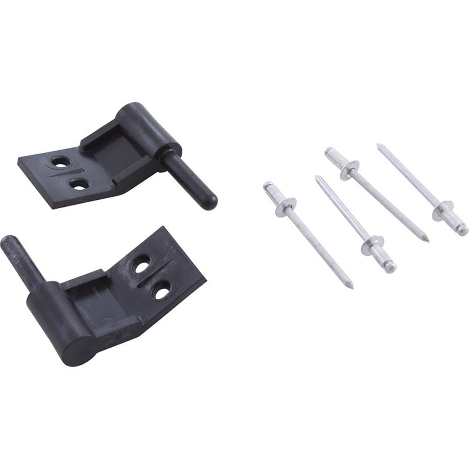 Power Center Hinge Pins, Pentair Compool, Quantity of 2 – PST Pool Supplies