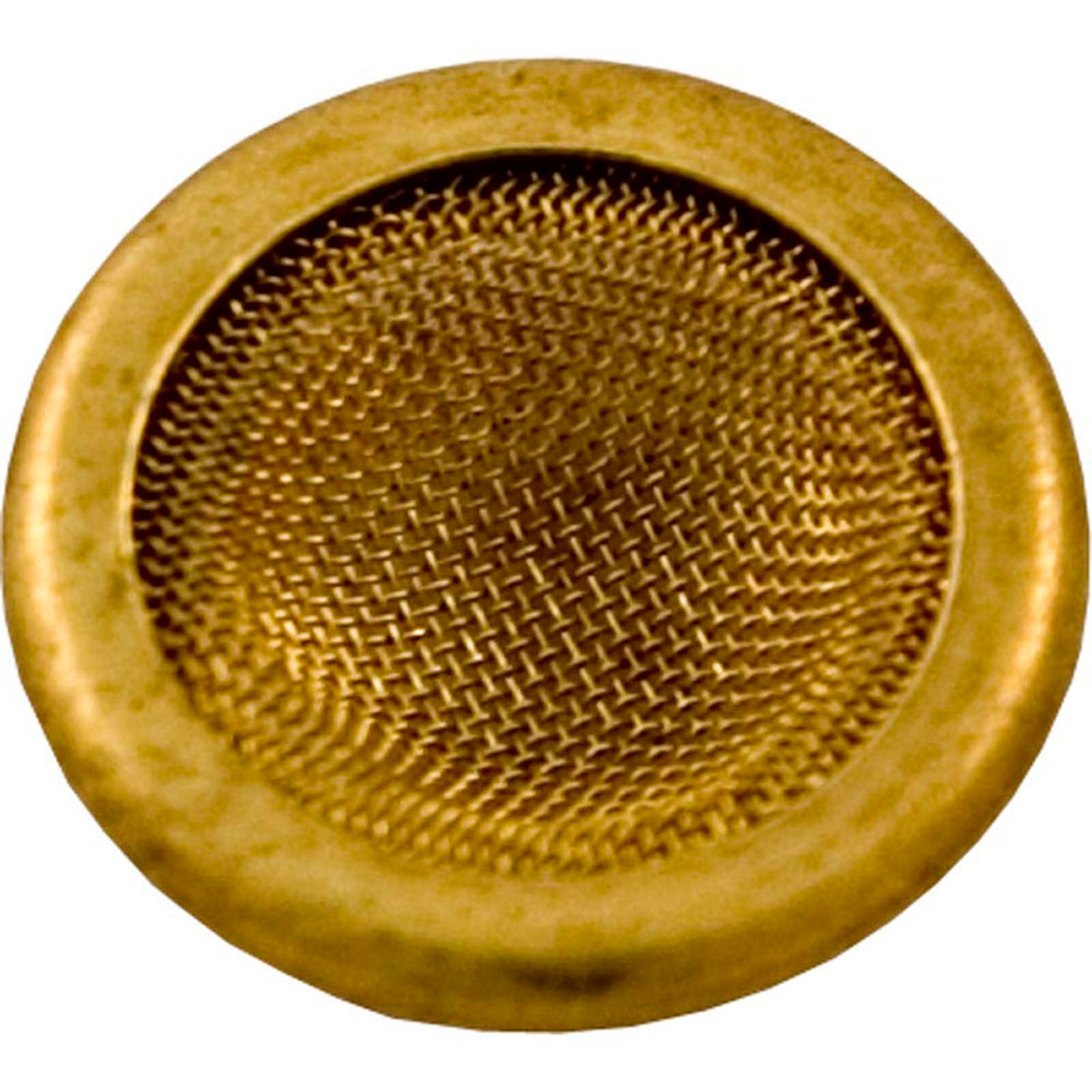 Pressure Gauge Screen, Pentair Sta-Rite – PST Pool Supplies