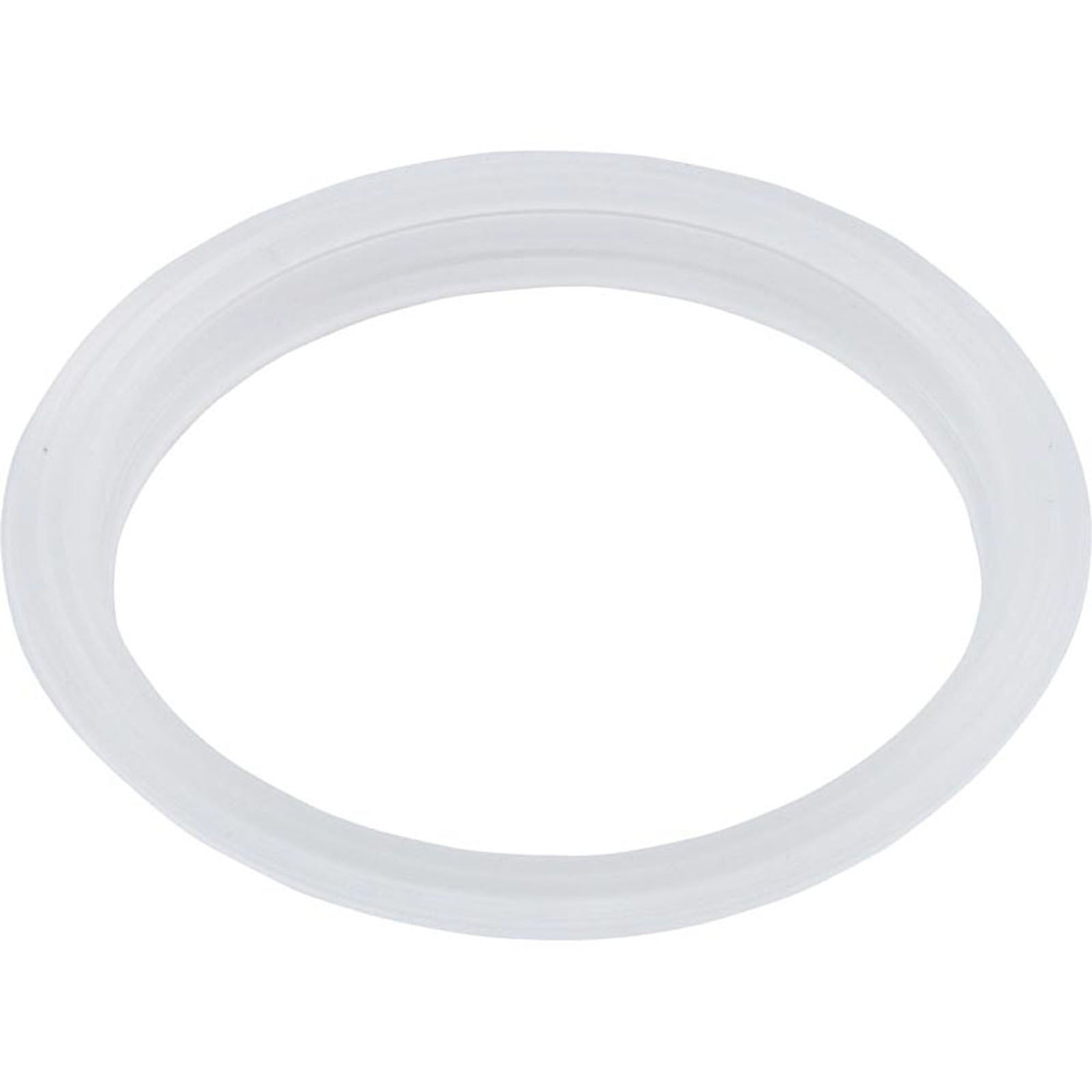 Gasket, "L", Waterway Mini Storm – PST Pool Supplies