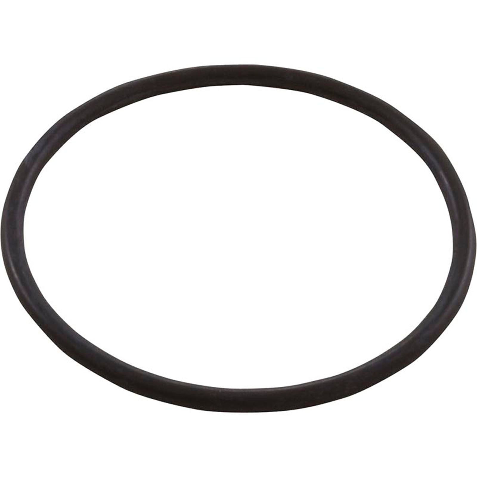 O-Ring, Buna-N, Astral, Union, Auto Feeder In-Line – PST Pool Supplies