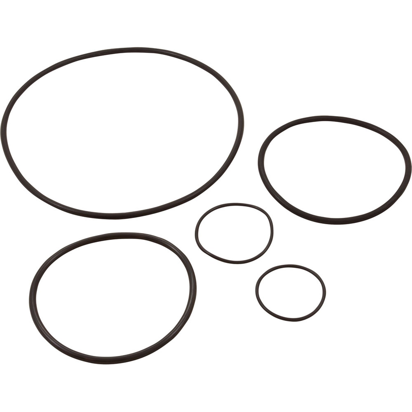 Pump O-Ring Kit, Generic Challenger Pump – PST Pool Supplies